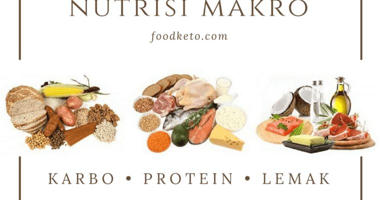 Apa Yang Harus Anda Ketahui Tentang Lemak, Protein dan Karbo – foodketo.com
